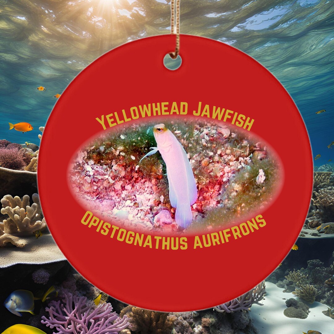 Yellowhead Jawfish, Scuba Diver Ornament, Jawfish, Opistognathus ...