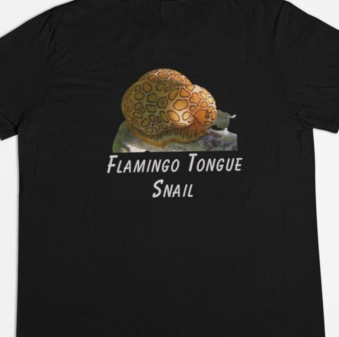 Diving T Shirt, Sea Shell Gifts, Beach Coverup, Beach Sweatshirt ...