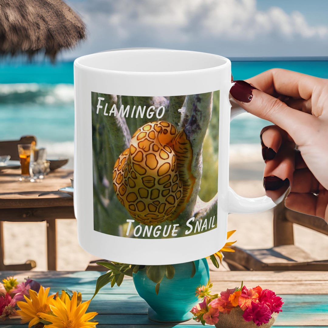 Flamingo Tongue Snail Coffee Mug, Snail Cup, Sea Snail, Snail Shell ...
