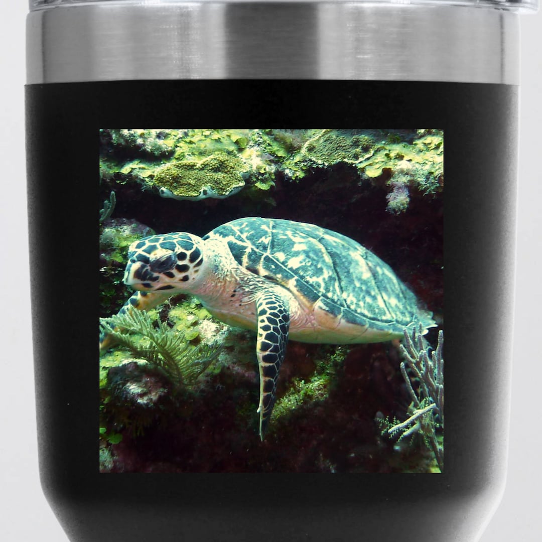 Sea Turtle Tumbler, Sea Turtle Wall Art, Under the Sea, Sea Turtle ...