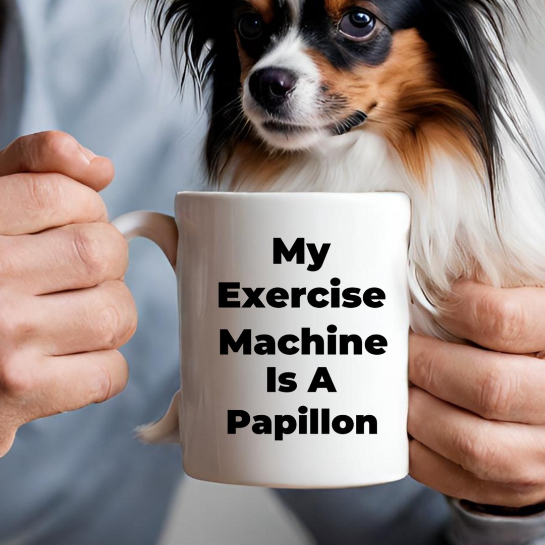 Papillon Dog, Papillon Puppies, Papillon Items, Dog Grandma, Papillon ...