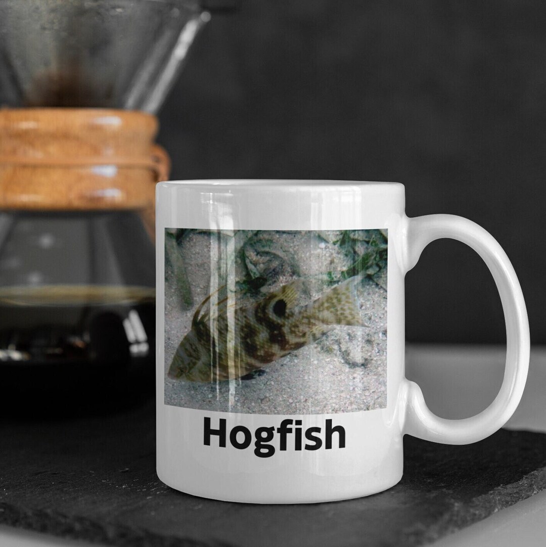 Hogfish Decor, Wildlife Photography, Hogfish Toy, Water Photography ...