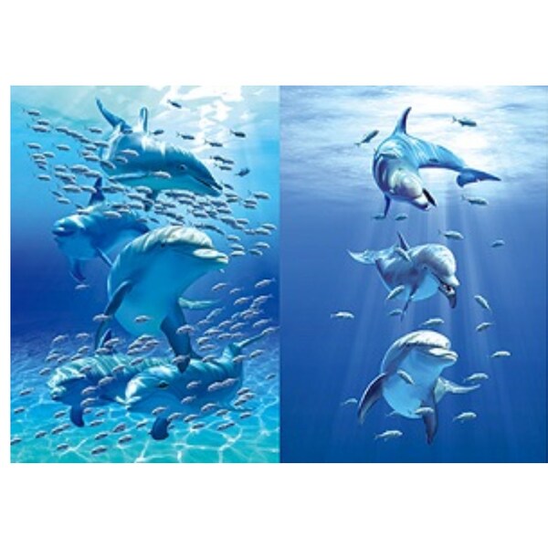 3d Holographic Lenticular Poster - Etsy