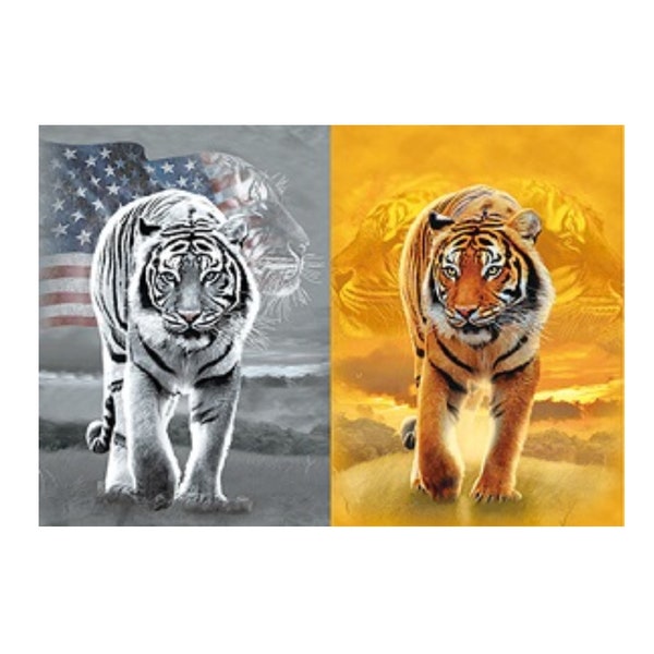 3d Holographic Lenticular Poster - Etsy