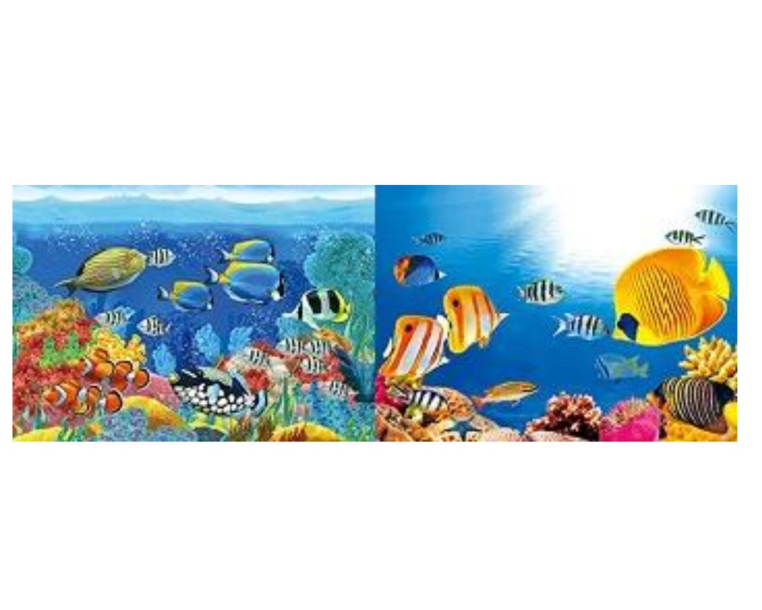 Tropical Fish/coral 3D Printed Moving Poster, Lenticular Holographic ...