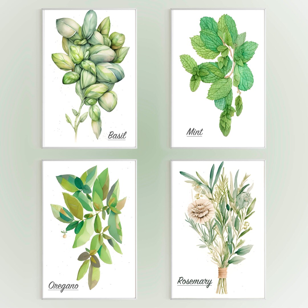 Herb Prints Set of 4 Pictures, Kitchen Wall Art, Herb Posters, Herb ...