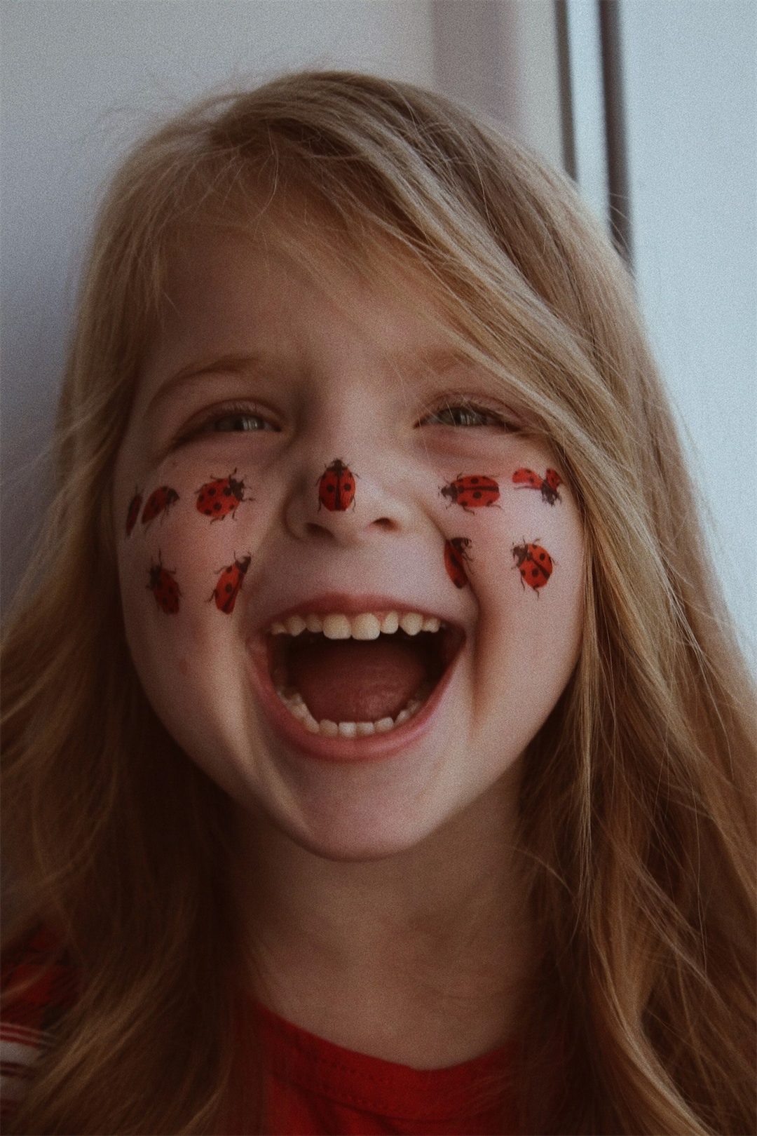 Ladybug Fake Tattoos for Face, Lady Bugs Kids Temporary Tattoo ...