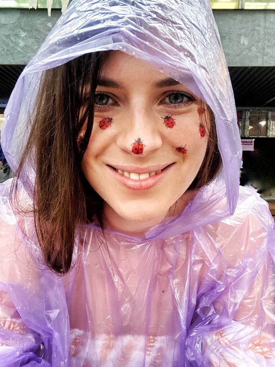 Ladybug Fake Tattoos for Face Lady Bugs Kids Temporary - Etsy