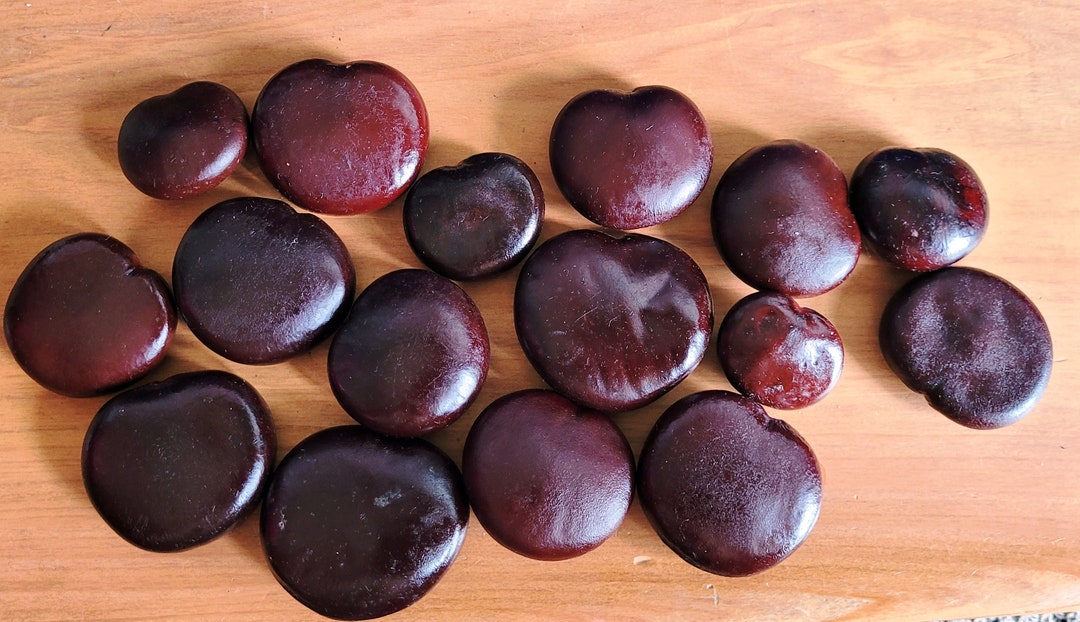 Genuine Sea Heart Drift Seed, Natural Ocean Jewel for Crafting and ...