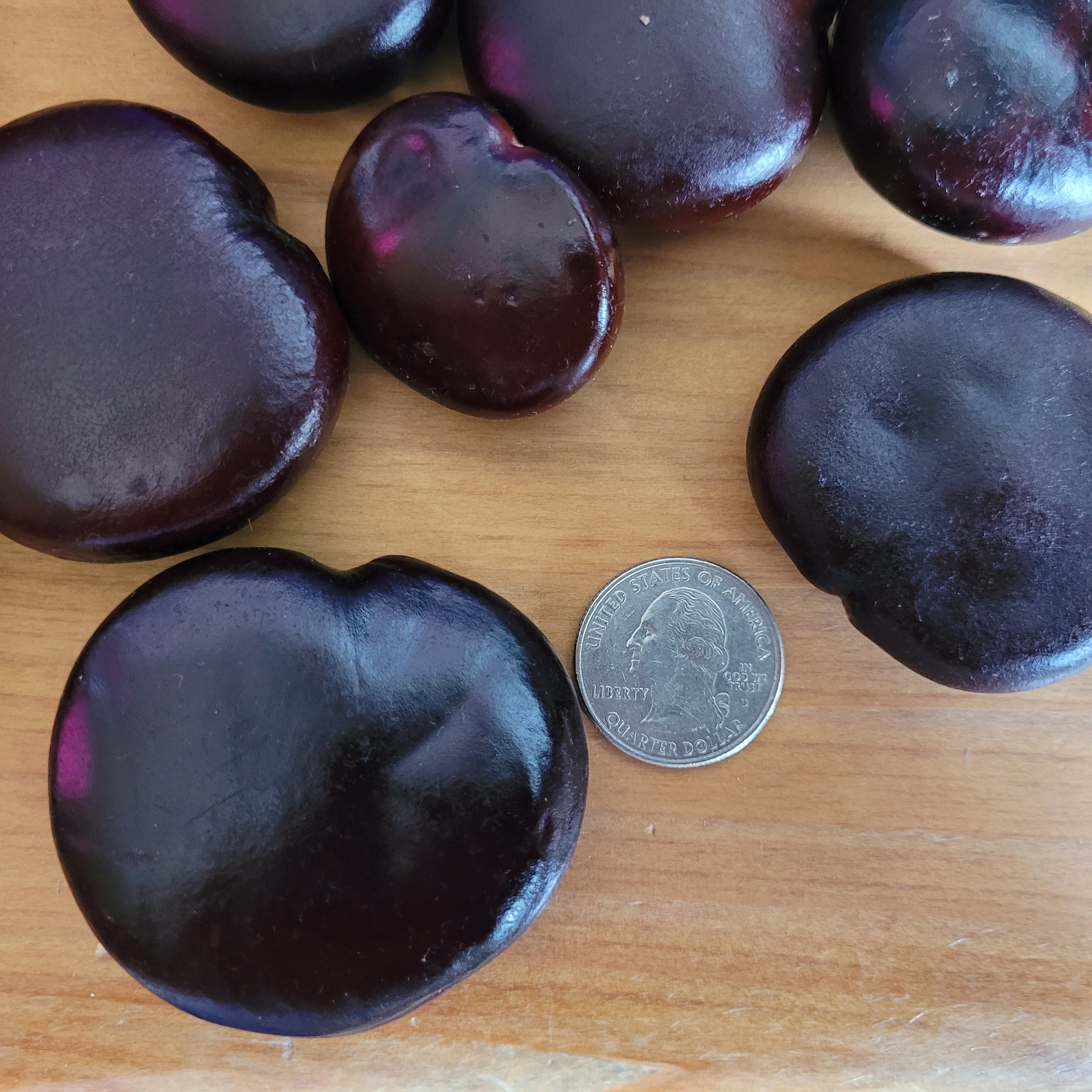 Genuine Sea Heart Drift Seed, Natural Ocean Jewel for Crafting and ...