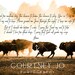 Buffalo Nursery Prayer // Western Nursery // Cowboy Nursery // Cowgirl ...