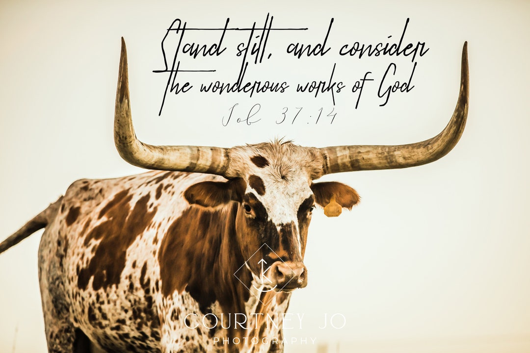 Stand Still and Consider the Wondrous Works of God Job 37:14 ...