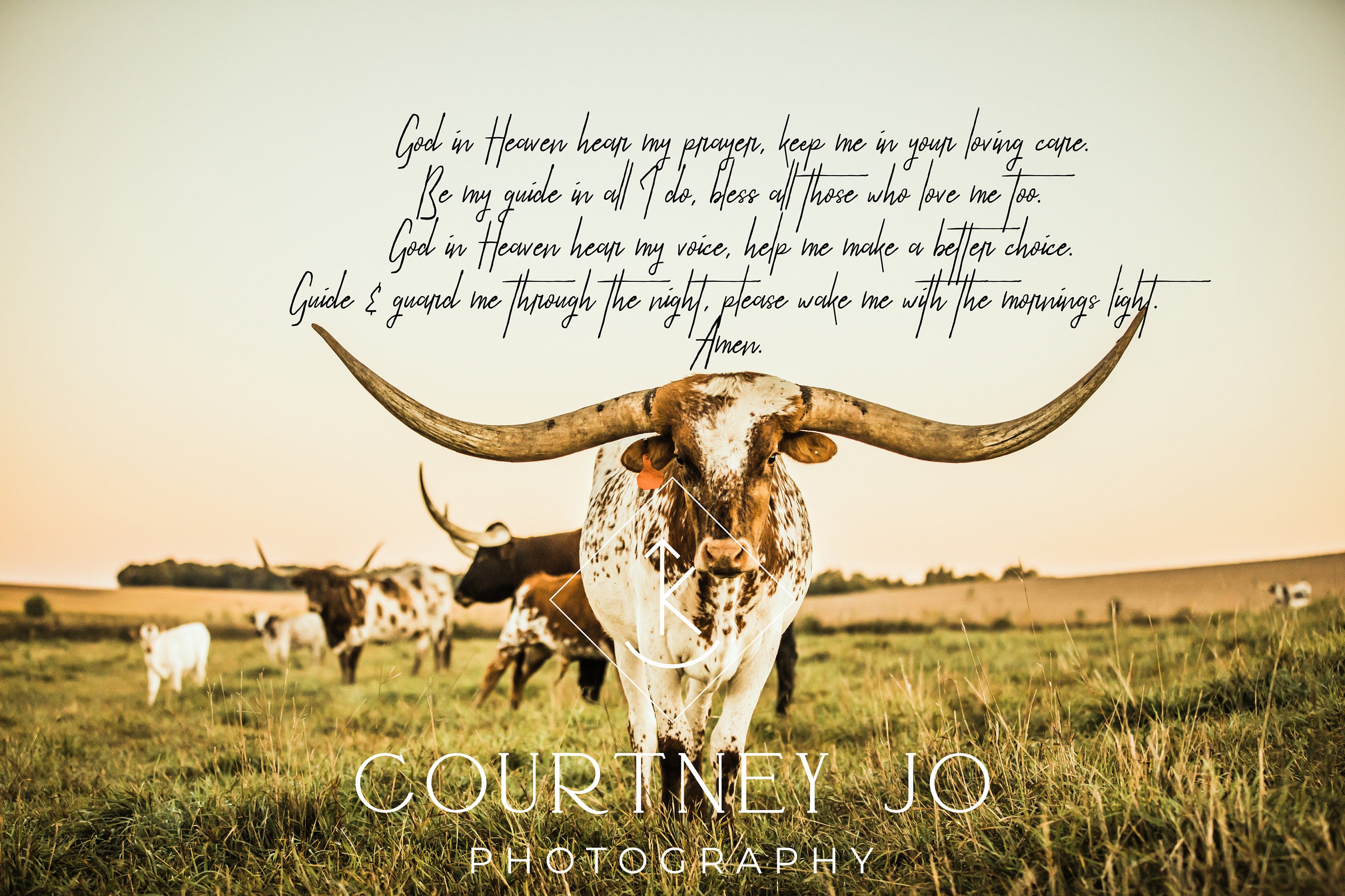 Longhorn Love Quotes Longhorn Traditions | University Of Texas At