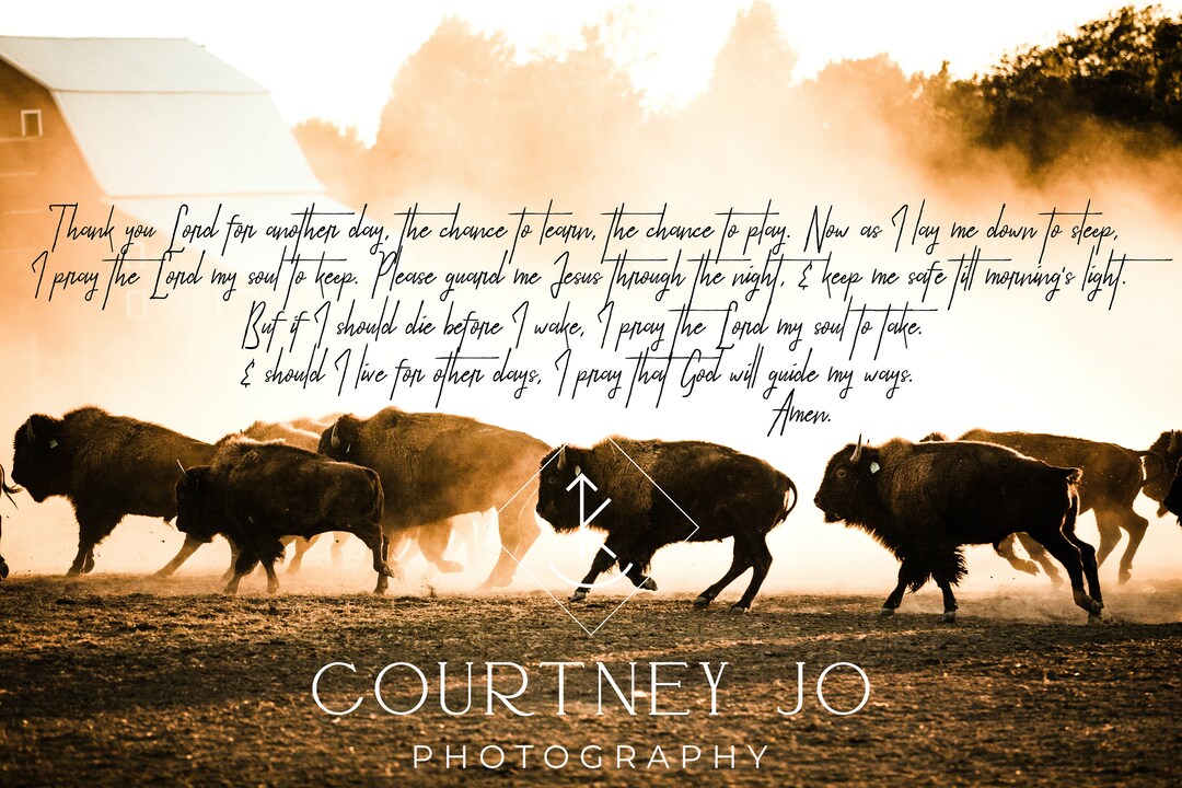 Buffalo Nursery Prayer // Western Nursery // Cowboy Nursery // Cowgirl ...