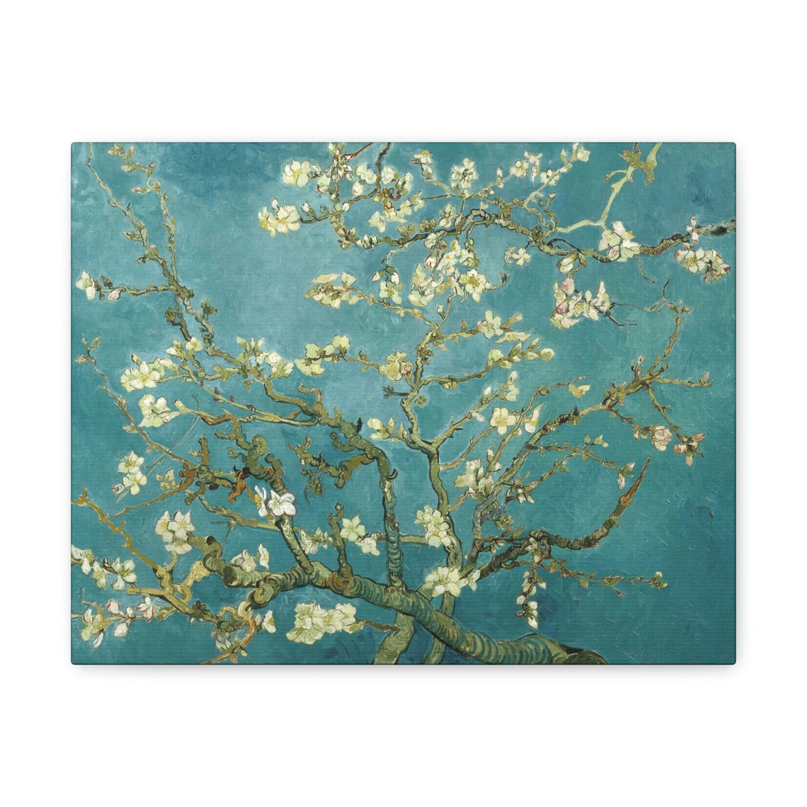 Almond Blossom (1890) Vincent Van Gogh Downloadable File Print at Home ...