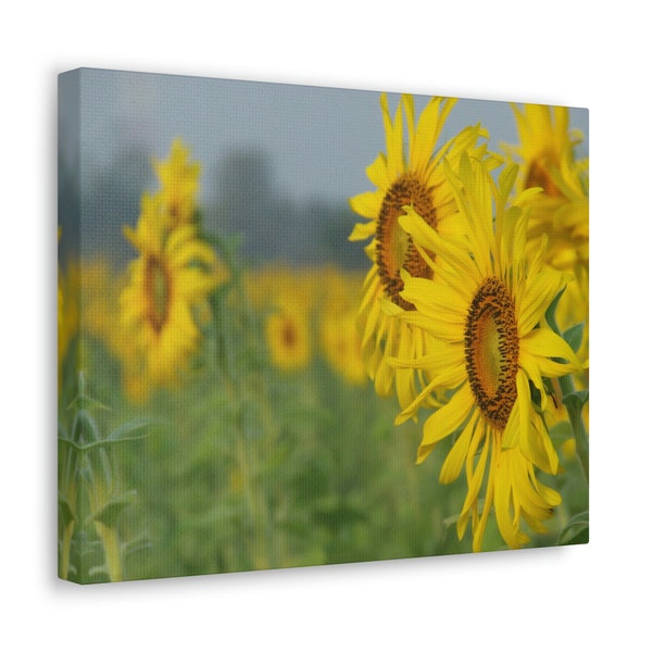 Sunflower Canvas - Etsy