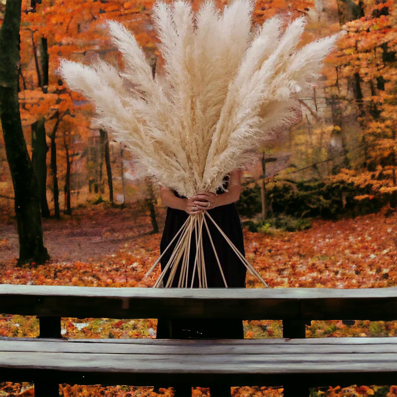4ft Tall Cream Pampas Grass - Etsy