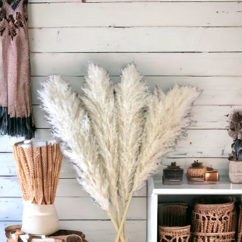 4ft Tall Cream Pampas Grass - Etsy