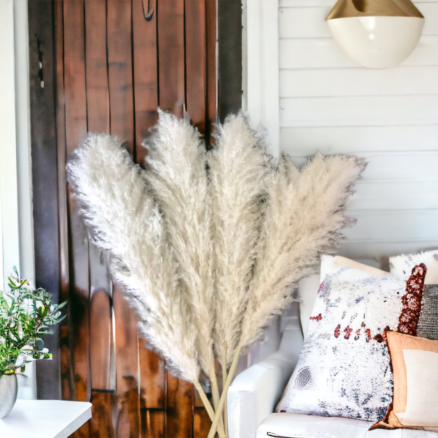 4ft Tall Cream Pampas Grass - Etsy