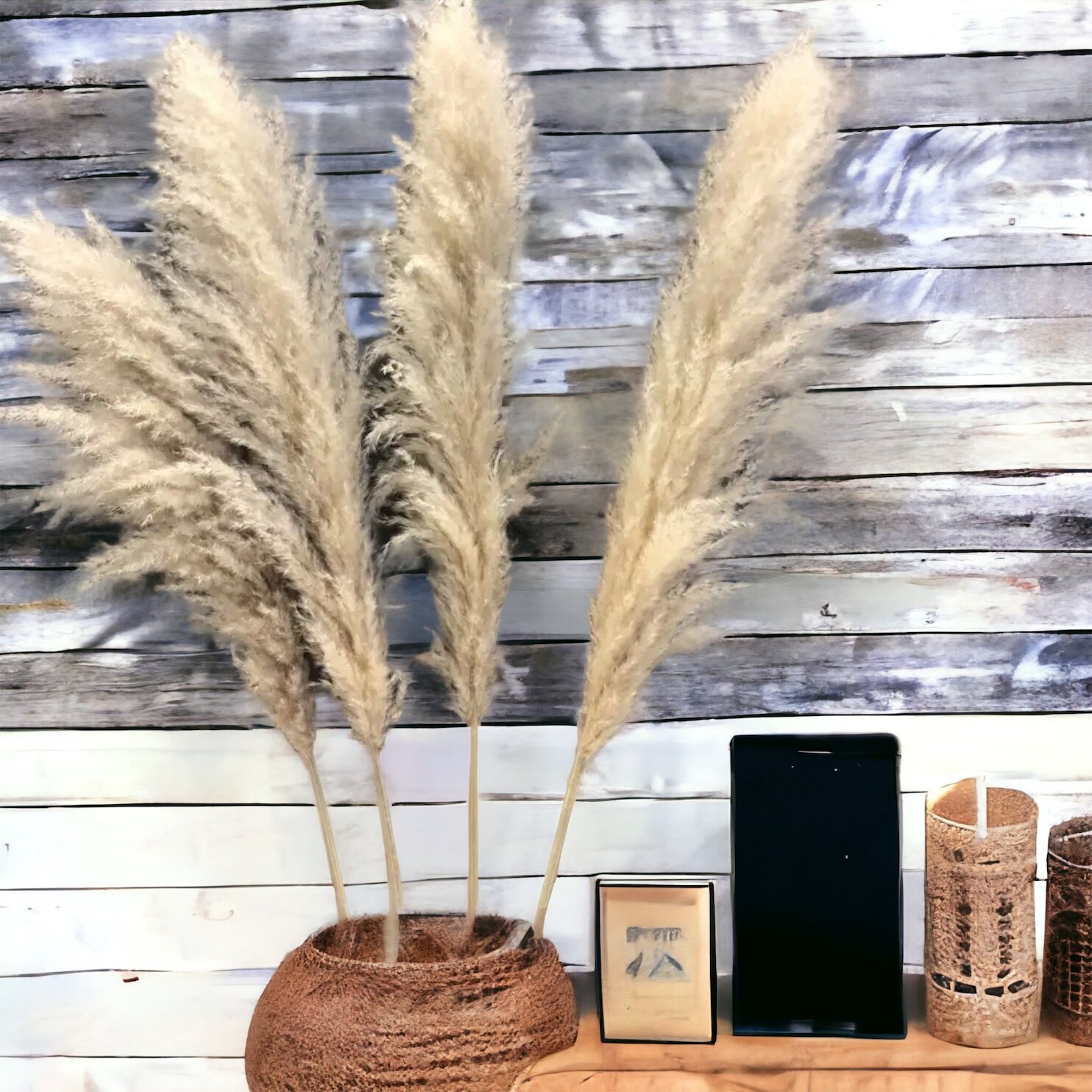 4ft Tall Cream Pampas Grass - Etsy