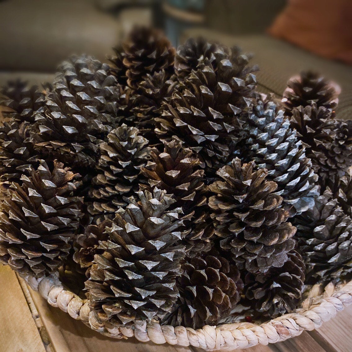 Large Natural Georgia Pine Cones (dozen) - Etsy