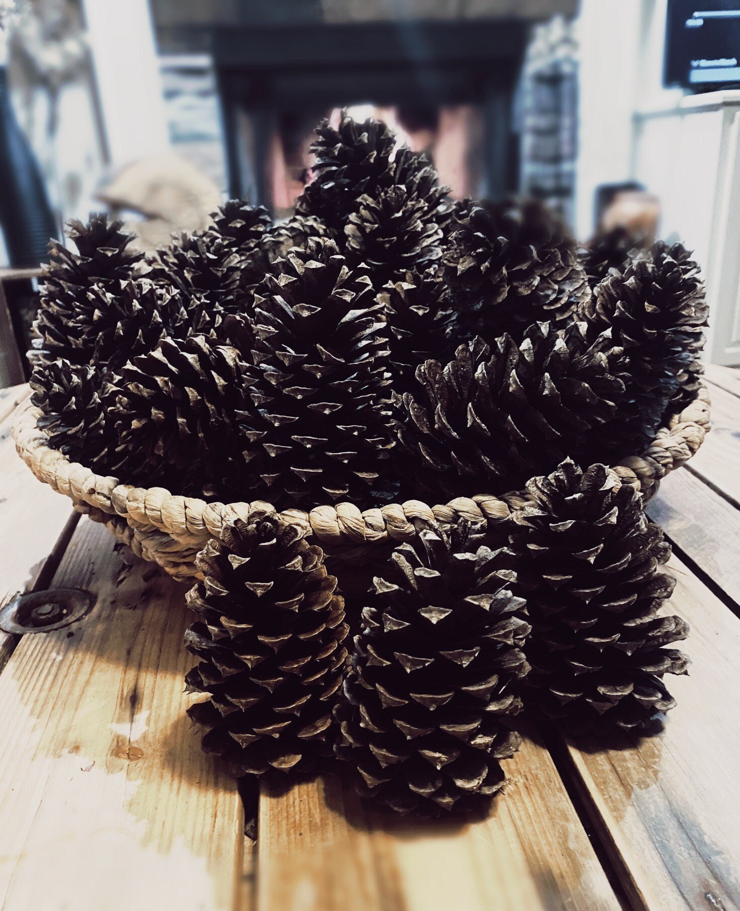 Large Natural Georgia Pine Cones (dozen) - Etsy