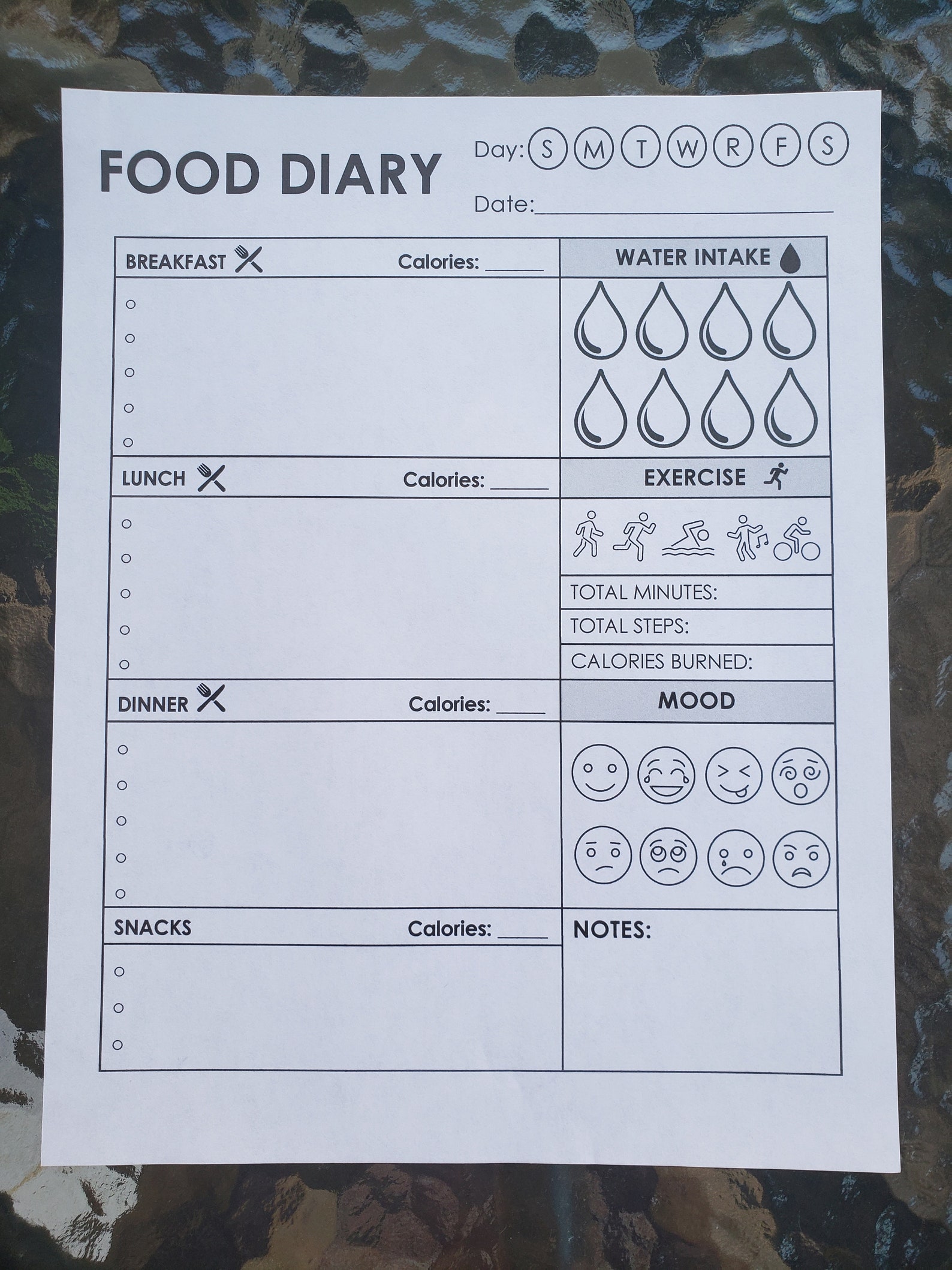 Daily Food Diary, PDF, Instant Download - Etsy