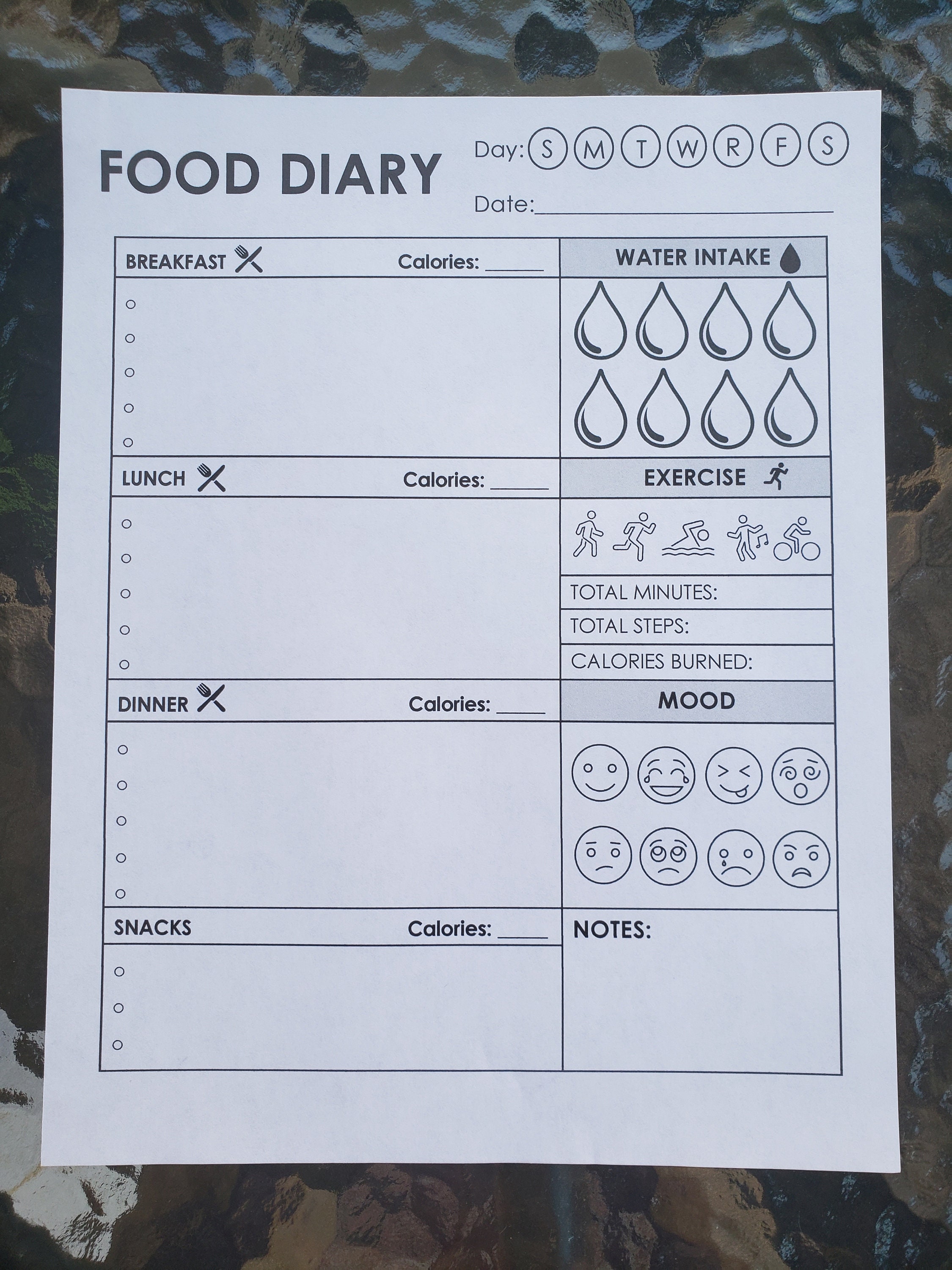 Daily Food Diary, PDF, Instant Download - Etsy