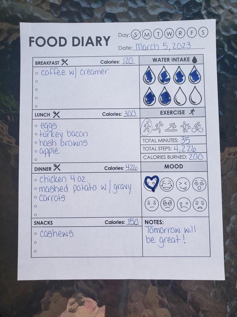Daily Food Diary, PDF, Instant Download - Etsy