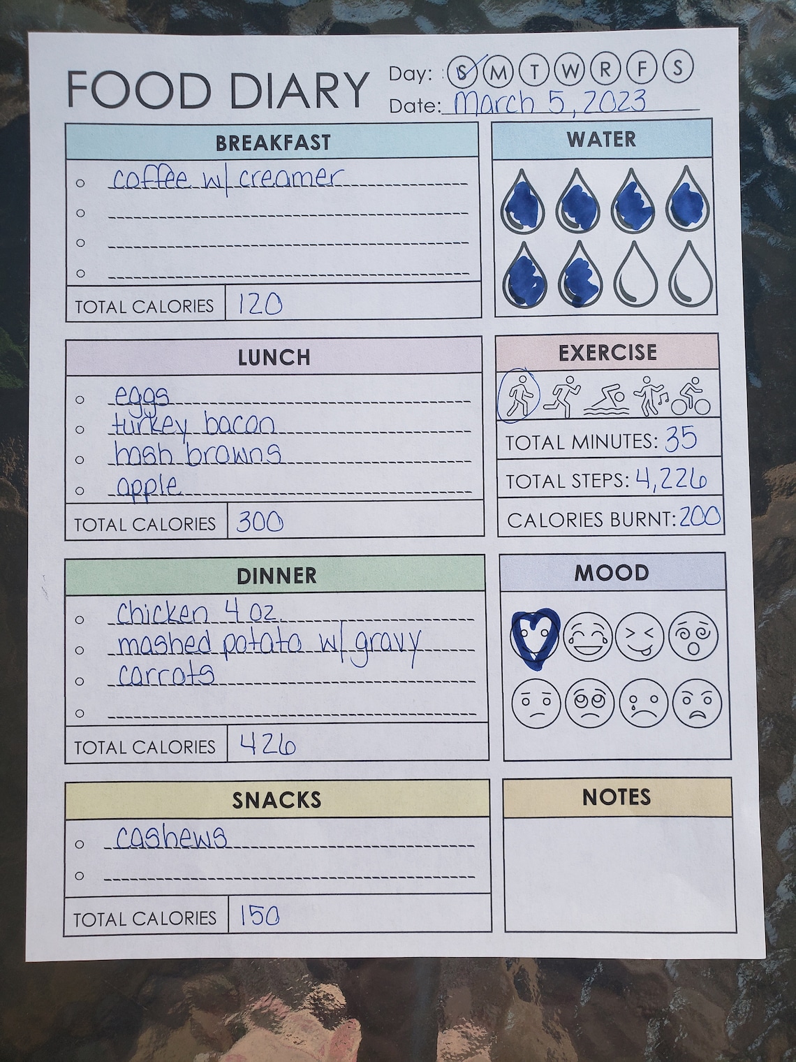 Daily Food Diary, PDF, Instant Download - Etsy