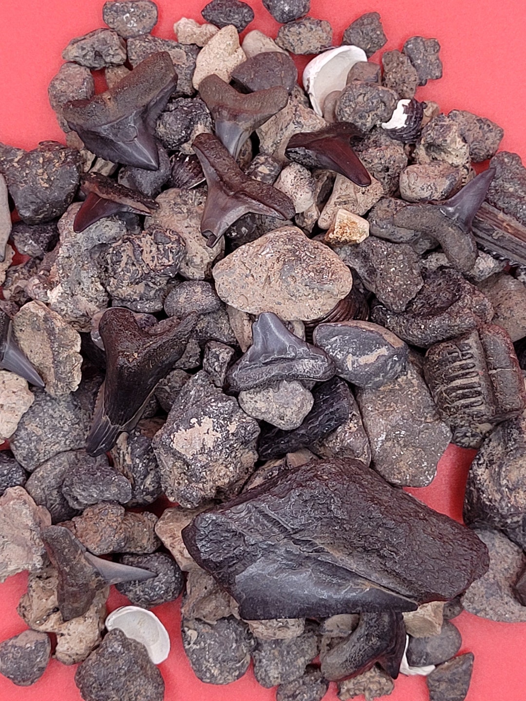 Mini Gravel Pack - Etsy