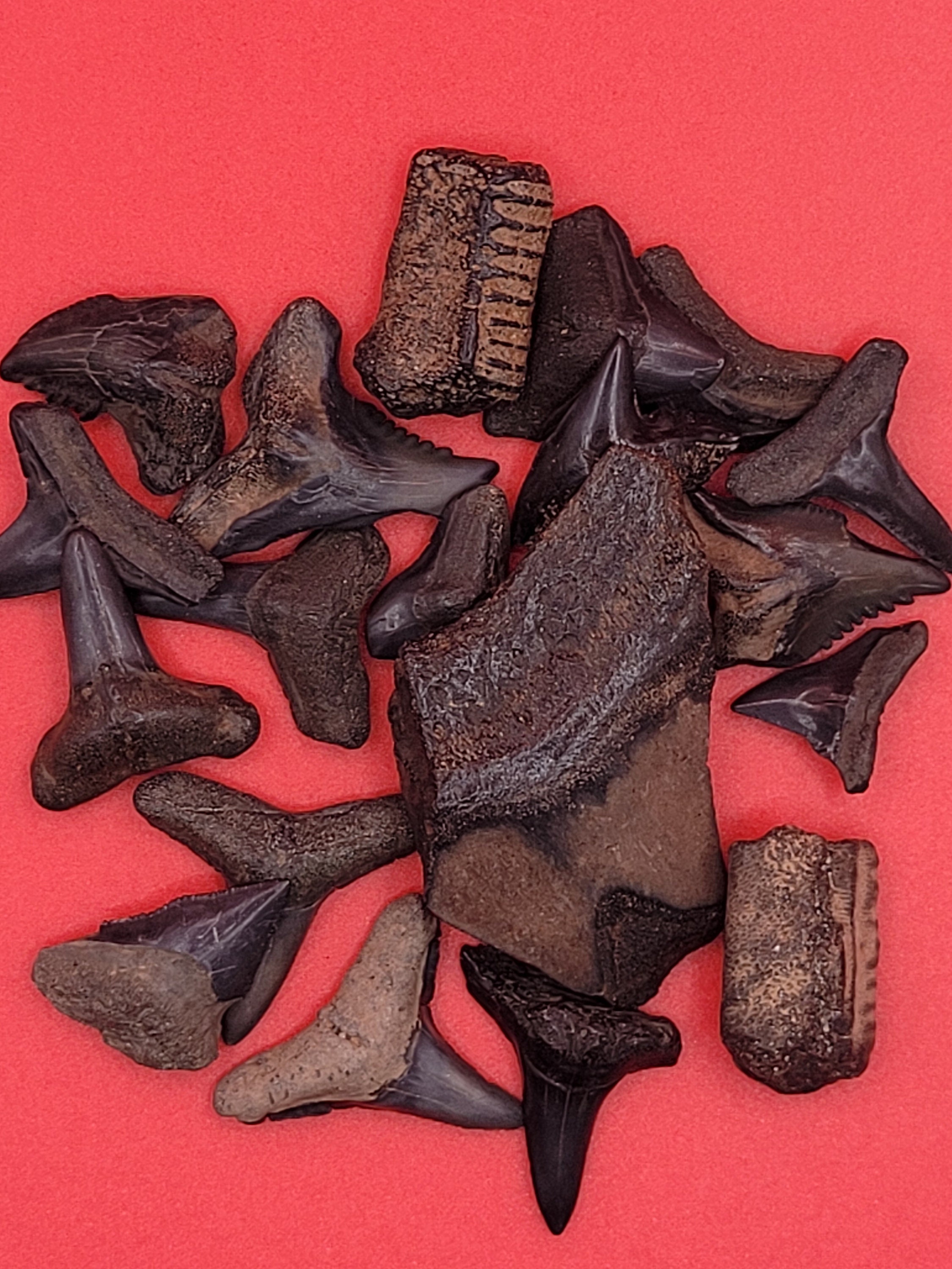 Mini Gravel Pack - Etsy