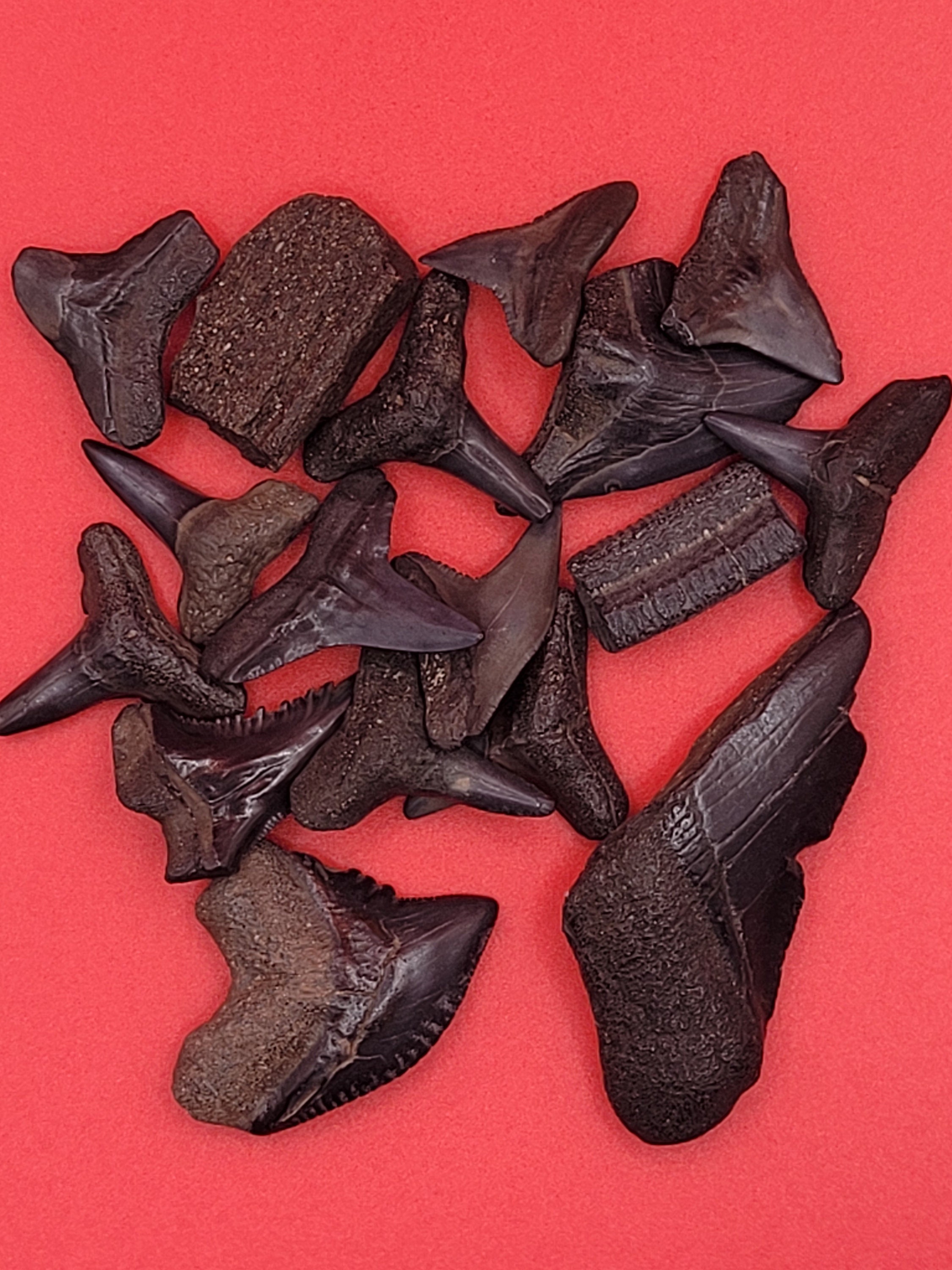 Mini Gravel Pack - Etsy