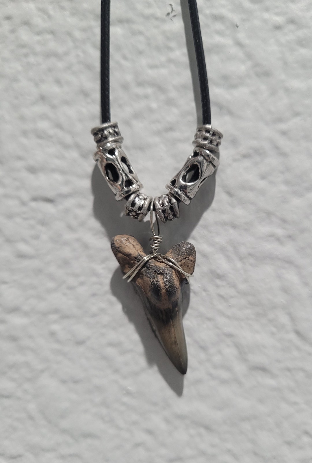 Lower Hemi Pristis Shark Tooth Necklace - Etsy