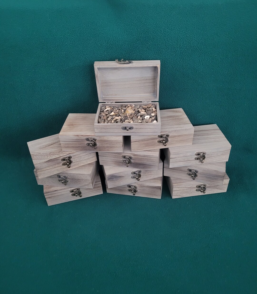 Platinum Megalodon Dig Chest - Bone Valley Formation - Etsy