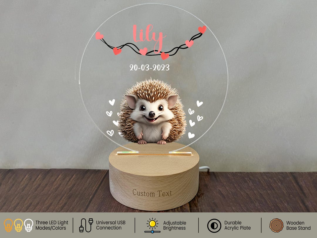 Baby Hedgehog Night Light: Personalized Girls Room Decor, a Thoughtful ...