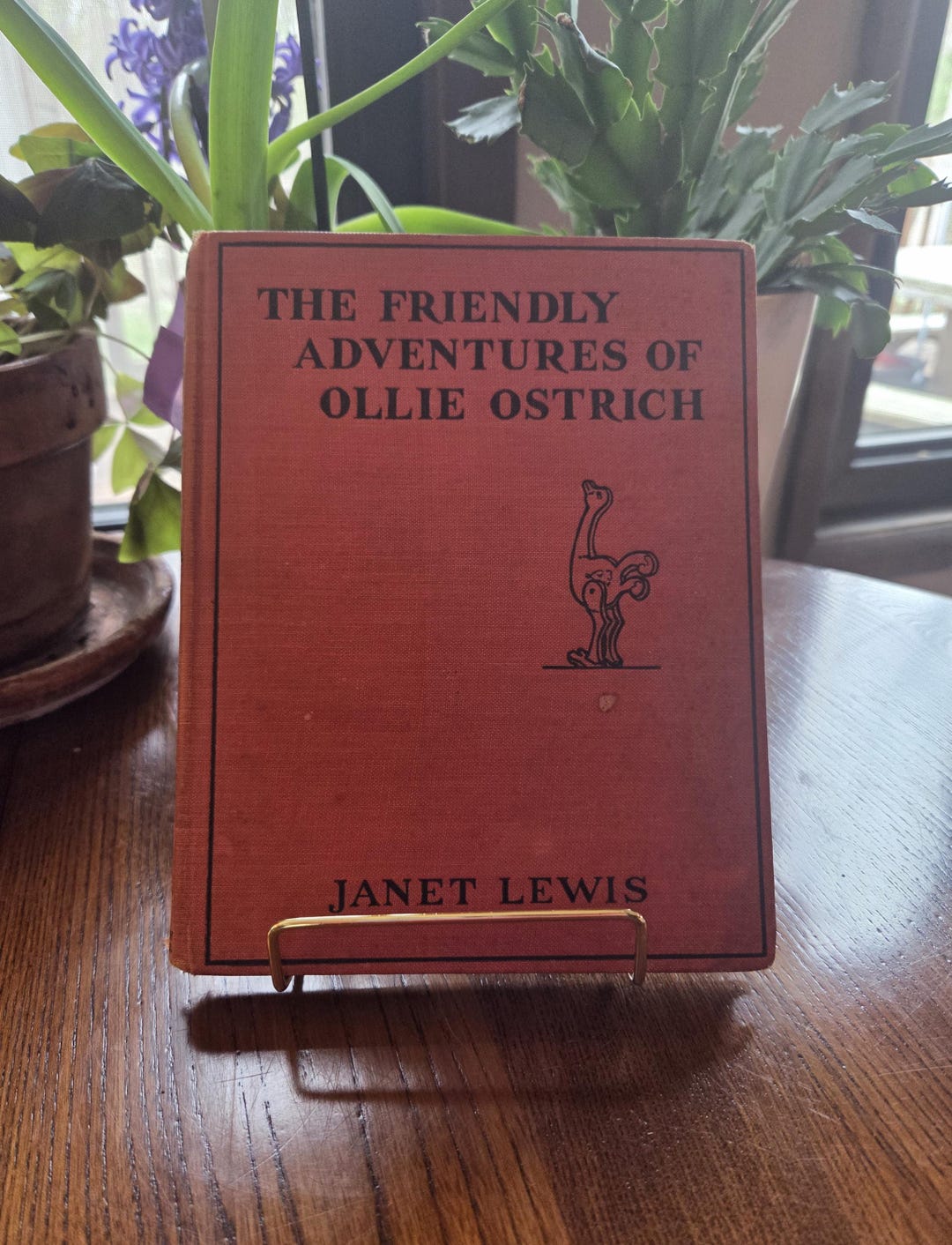 The Friendly Adventures of Ollie Ostrich by Janet Lewis 1923 First ...
