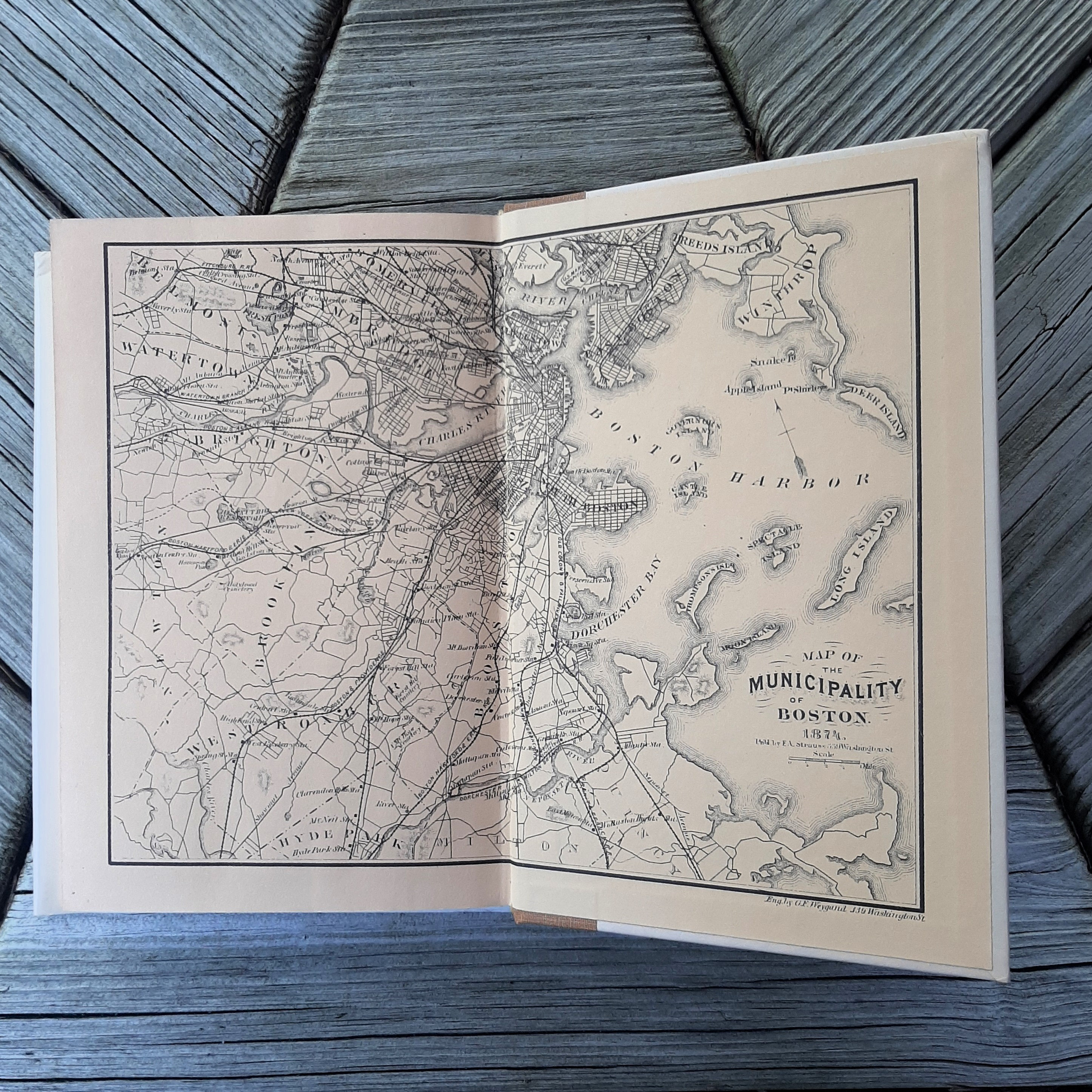 Growing up in Boston's Gilded Age the Journal of Alice Stone Blackwell ...