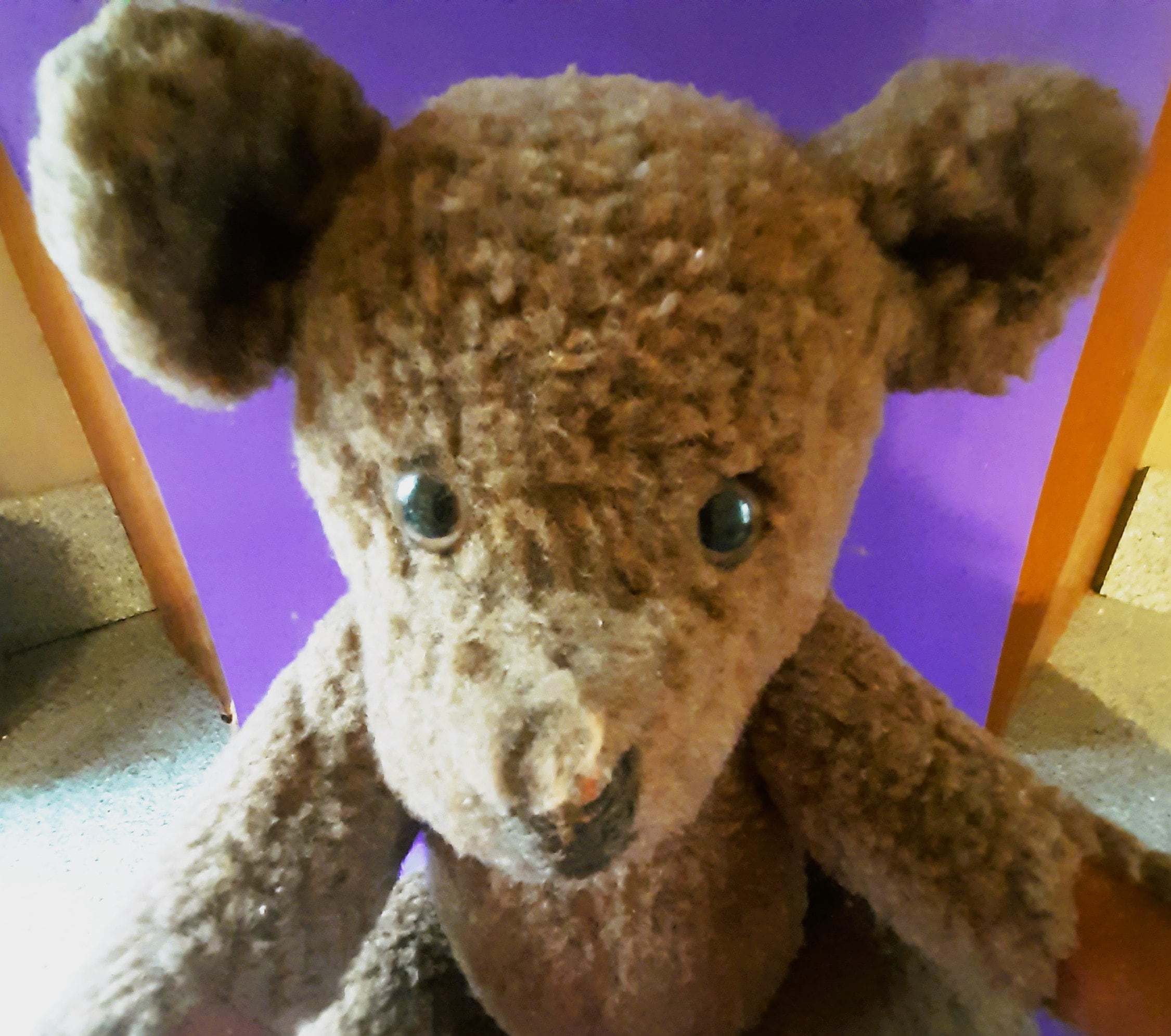 Vintage Lambs Wool Brown Jointed Teddy Bear With Pointy Snout and Glass Eyes, Collectible Wood ...