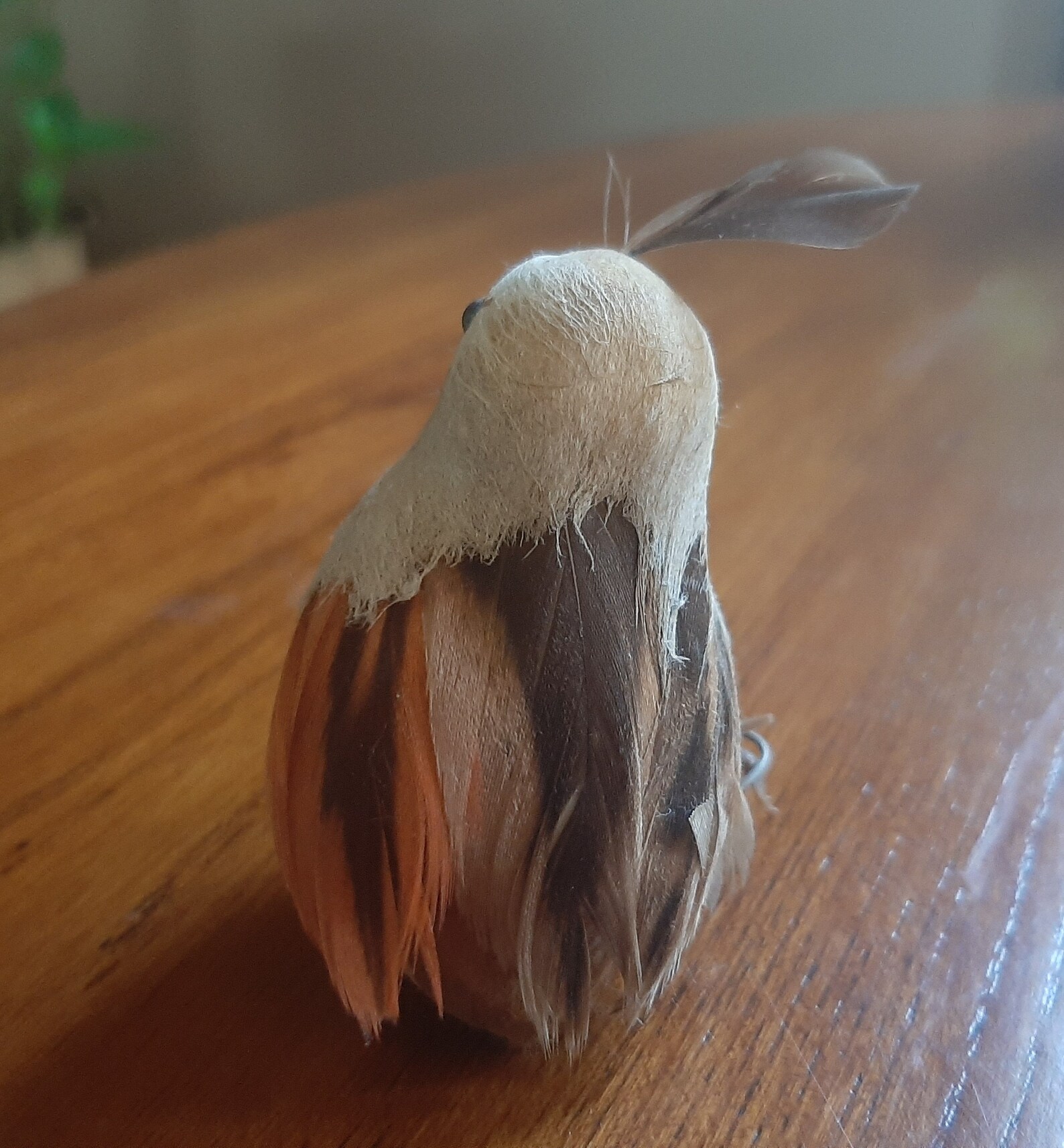 Vintage Flocked and Feathered Birds - Etsy