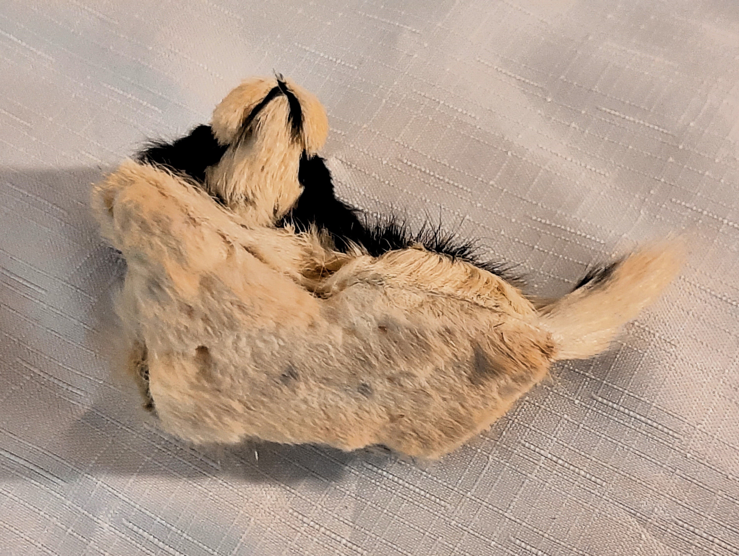 Vintage Real Fur Dog Figurine, Mini Fur Dog English Setter Puppy ...