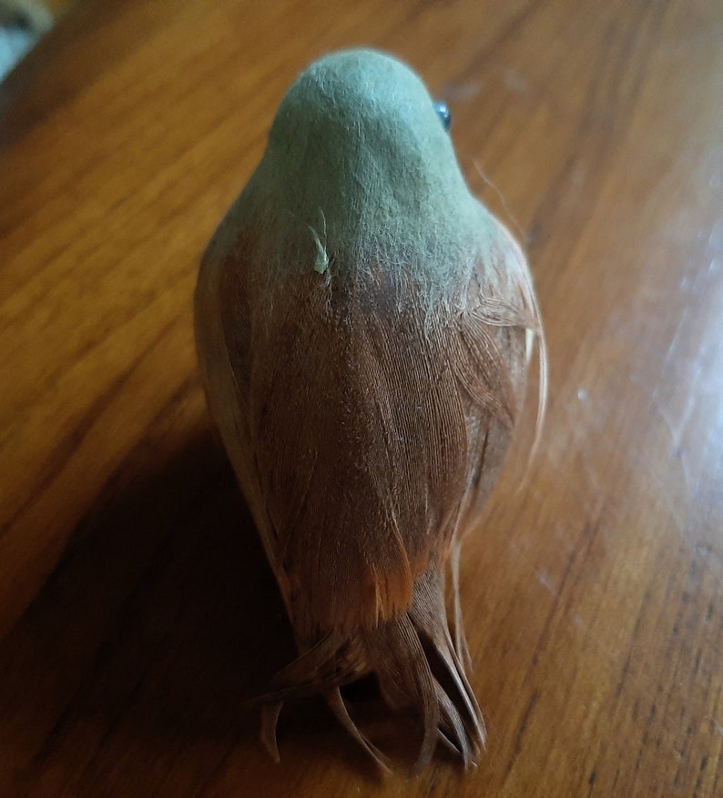 Vintage Flocked and Feathered Birds - Etsy