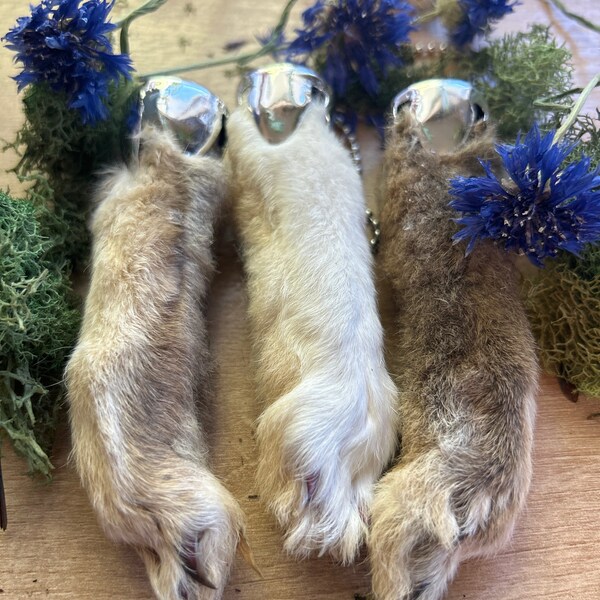 Rabbit Foot Keychain - Etsy