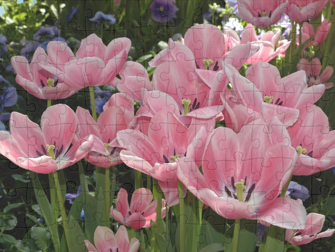 Jigsaw Puzzle Pink Tulip Flower Garden Floral Brain Game for - Etsy