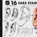 Ears Stamp Brushes Procreate, Face Brushes, Portrait Guide Brush, Ear ...