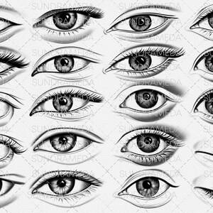 Procreate Eyes Stamp Brushes, Realistic Digital Eye, Eye Sketches ...