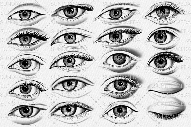 Procreate Eyes Stamp Brushes, Realistic Digital Eye, Eye Sketches ...