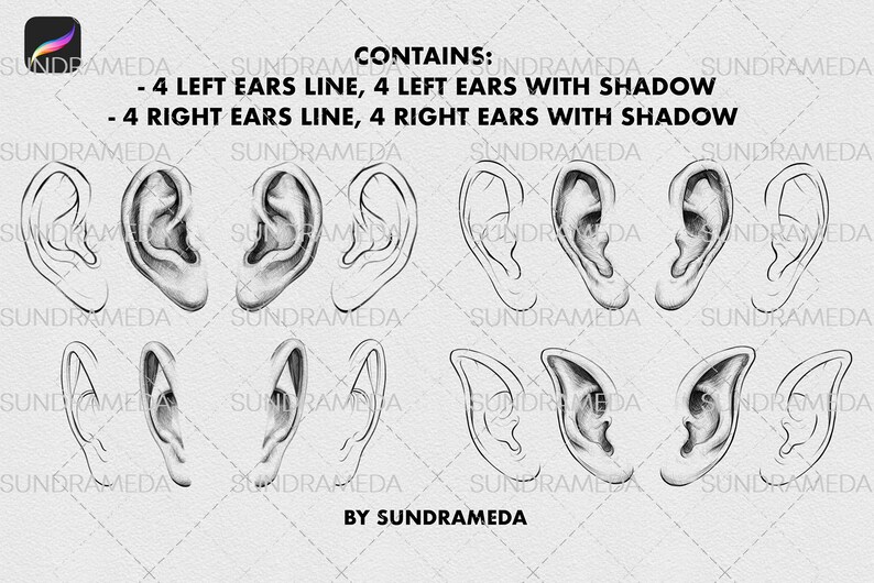 Ears Stamp Brushes Procreate, Face Brushes, Portrait Guide Brush, Ear ...