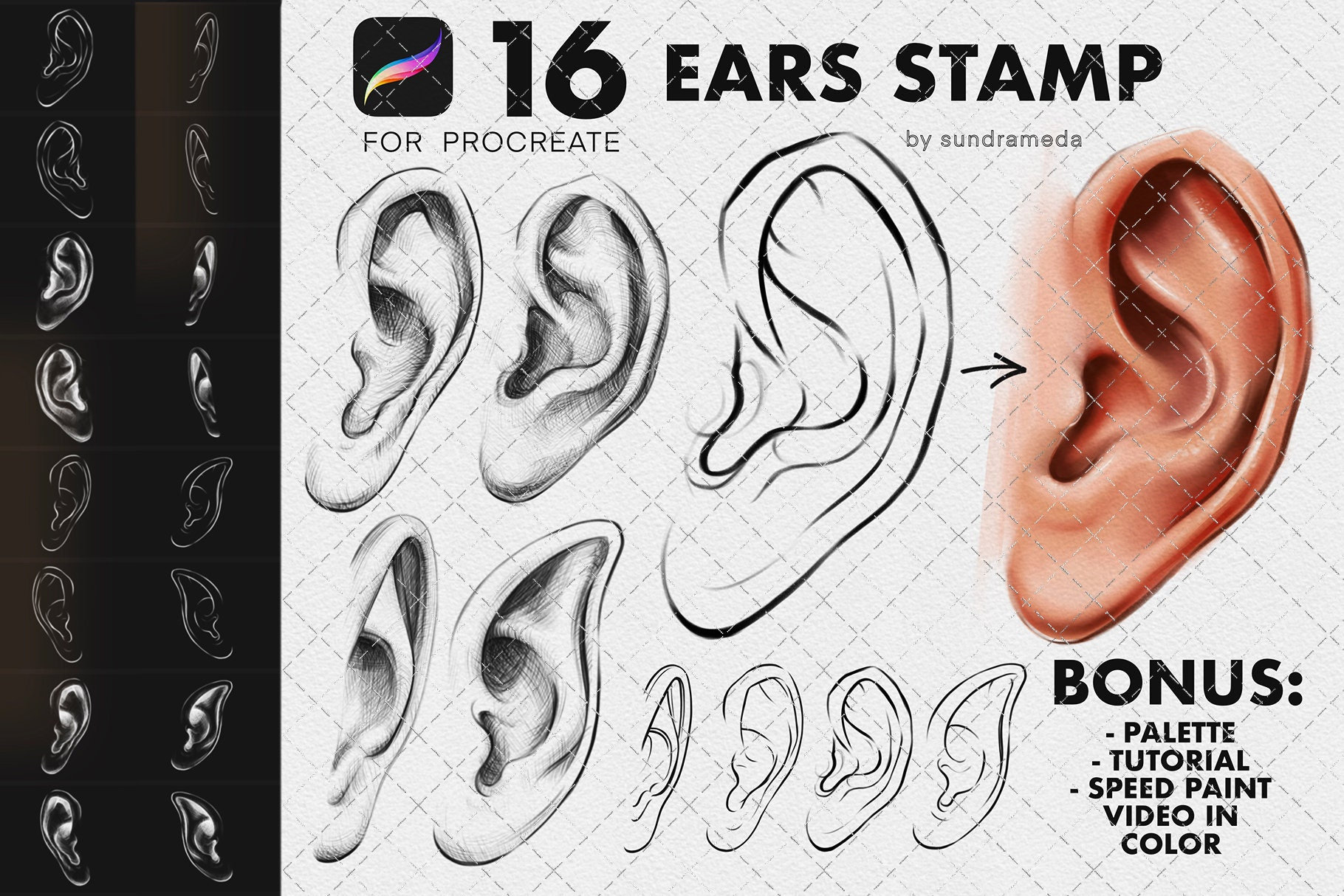 Ears Stamp Brushes Procreate, Face Brushes, Portrait Guide Brush, Ear ...