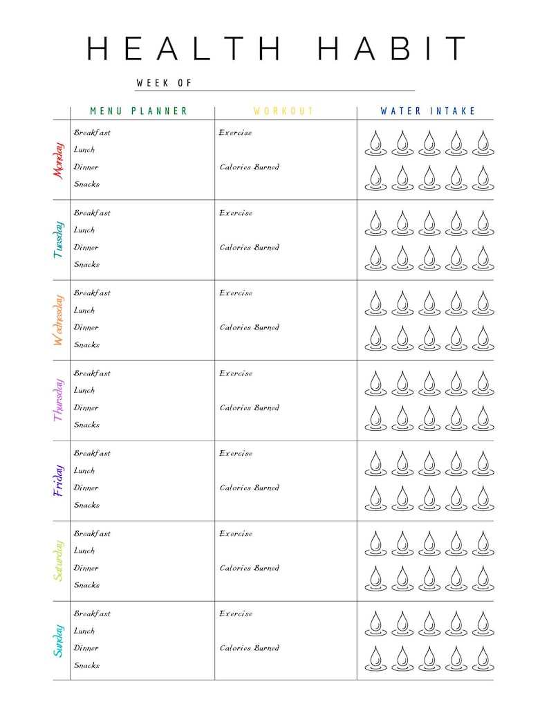 Editable Daily Food Journal, Printable Daily Food Journal, Daily Food ...